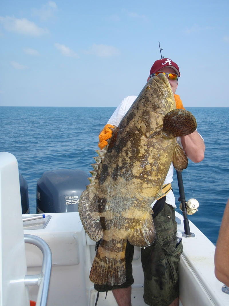 Key West Reef & Wreck Fishing Gallery - Fish Key West Florida - As seen ...